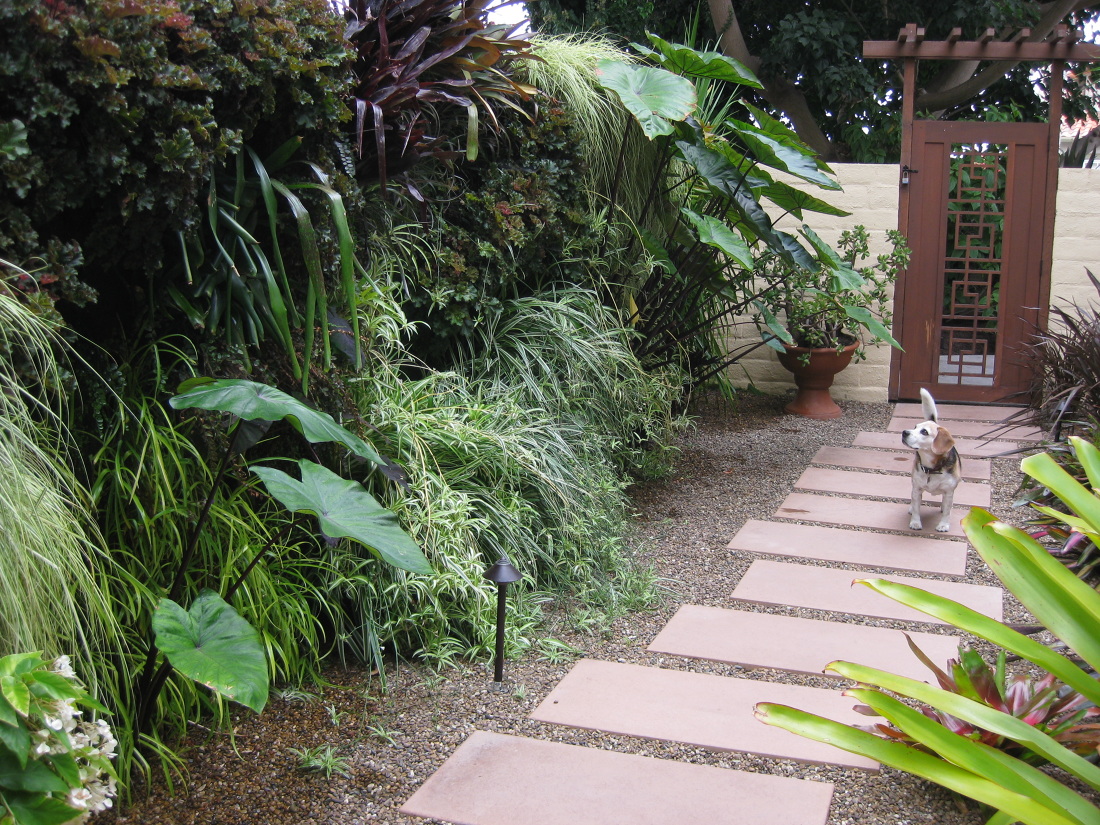 Another shot of the staggered pathway (With images) | Green wall, Green ...